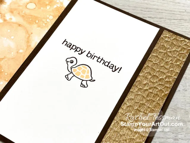 Shell-ebrating Turtle Z-Fold Card - Stamp Your Art Out!