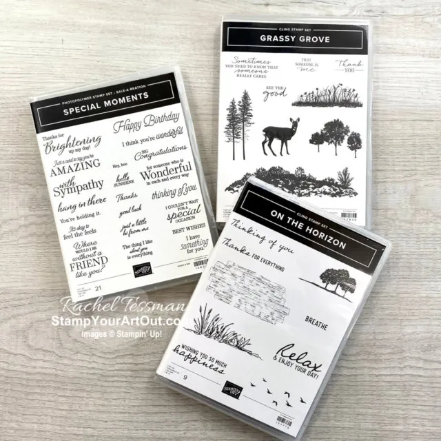 You Can Make Simple But Stunning with New Horizons - Stamp Your Art Out!