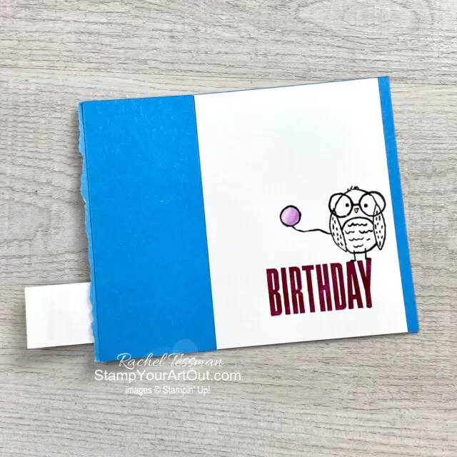 Bird's Eye Birthday Card - Stamp Your Art Out!