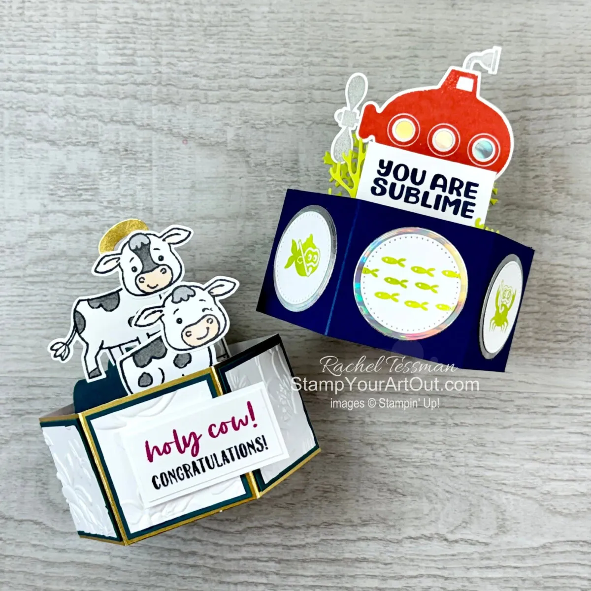 Hexagon Platform Pop-Up Cards – Part 2 of 2 - Stamp Your Art Out!