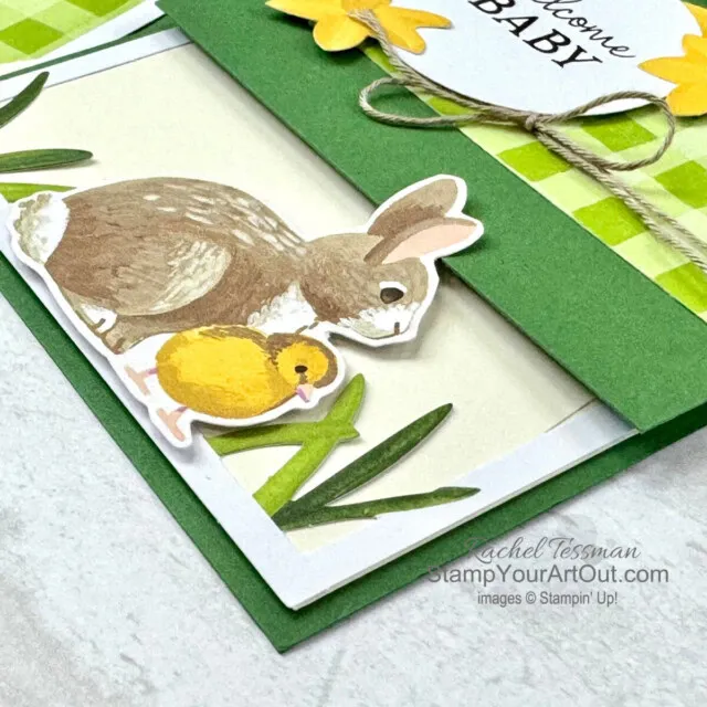 Feb '24 Sweet Springtime Kit: First Set of Alternate Projects - Stamp ...