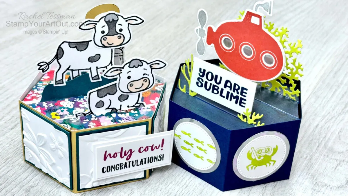 Hexagon Platform Pop-Up Cards – Part 2 of 2 - Stamp Your Art Out!