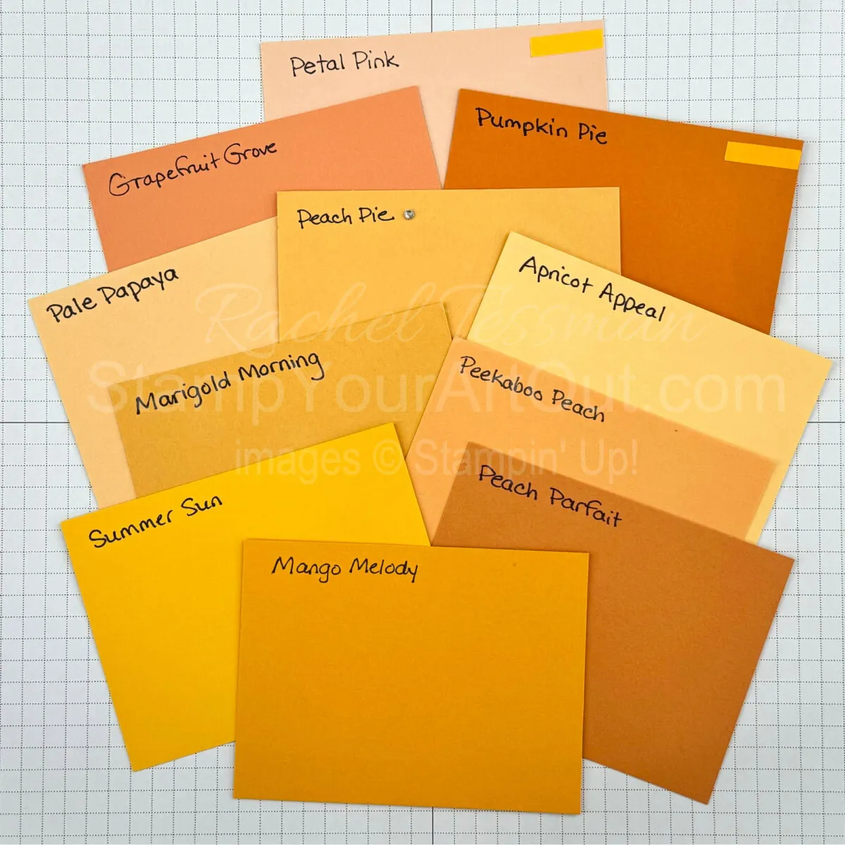 New 2024-26 In Colors, Comparisons & Other New Peeks! - Stamp Your Art Out!