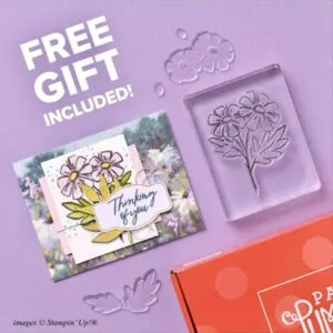 Feb '24 Sweet Springtime Kit: First Set of Alternate Projects - Stamp ...